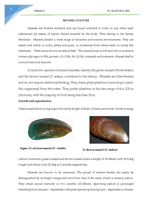 Pearl culture 2020 - Lecture note - PEARL CULTURE The pearl oysters ...