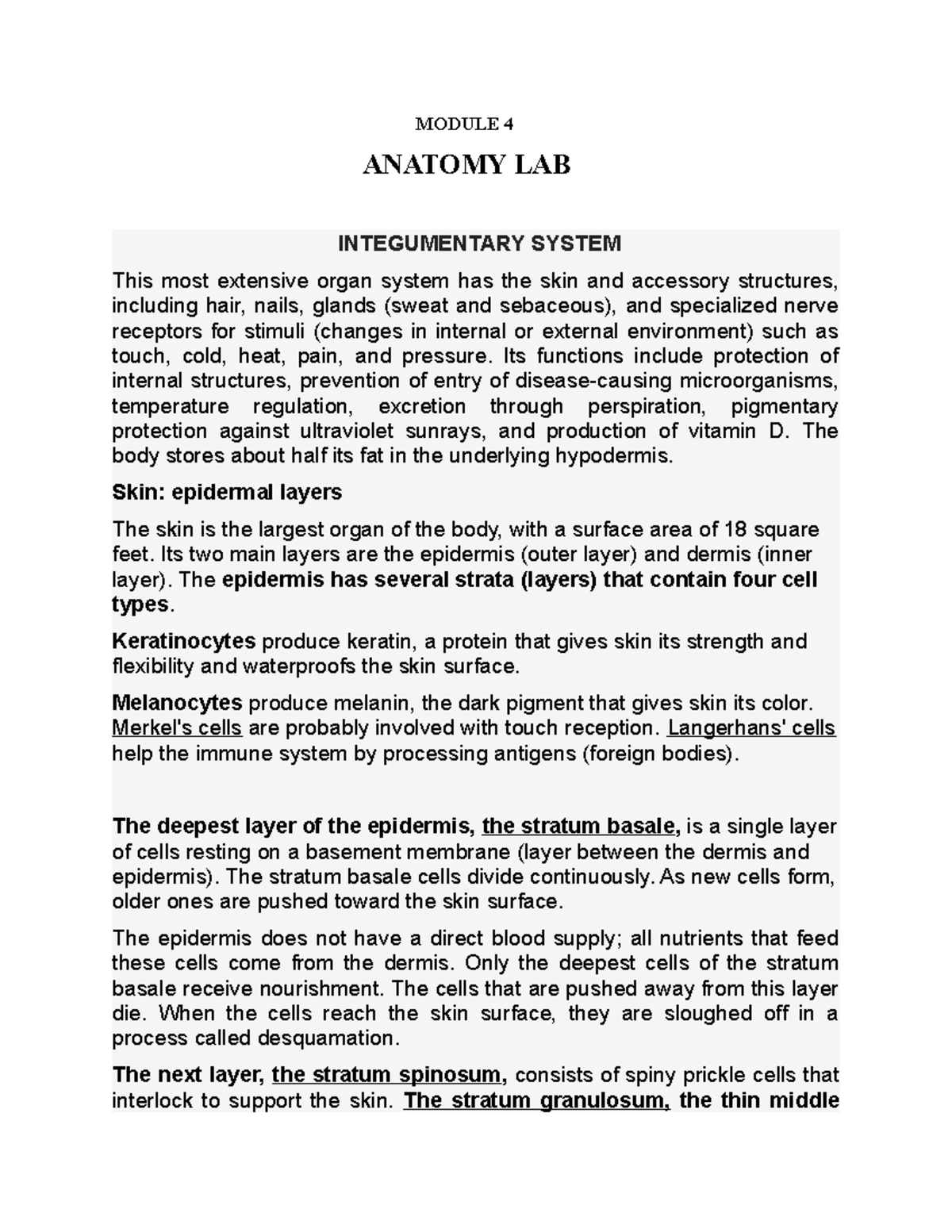 Module 4 Anatomy Lab - Integumentary System - MODULE 4 ANATOMY LAB ...