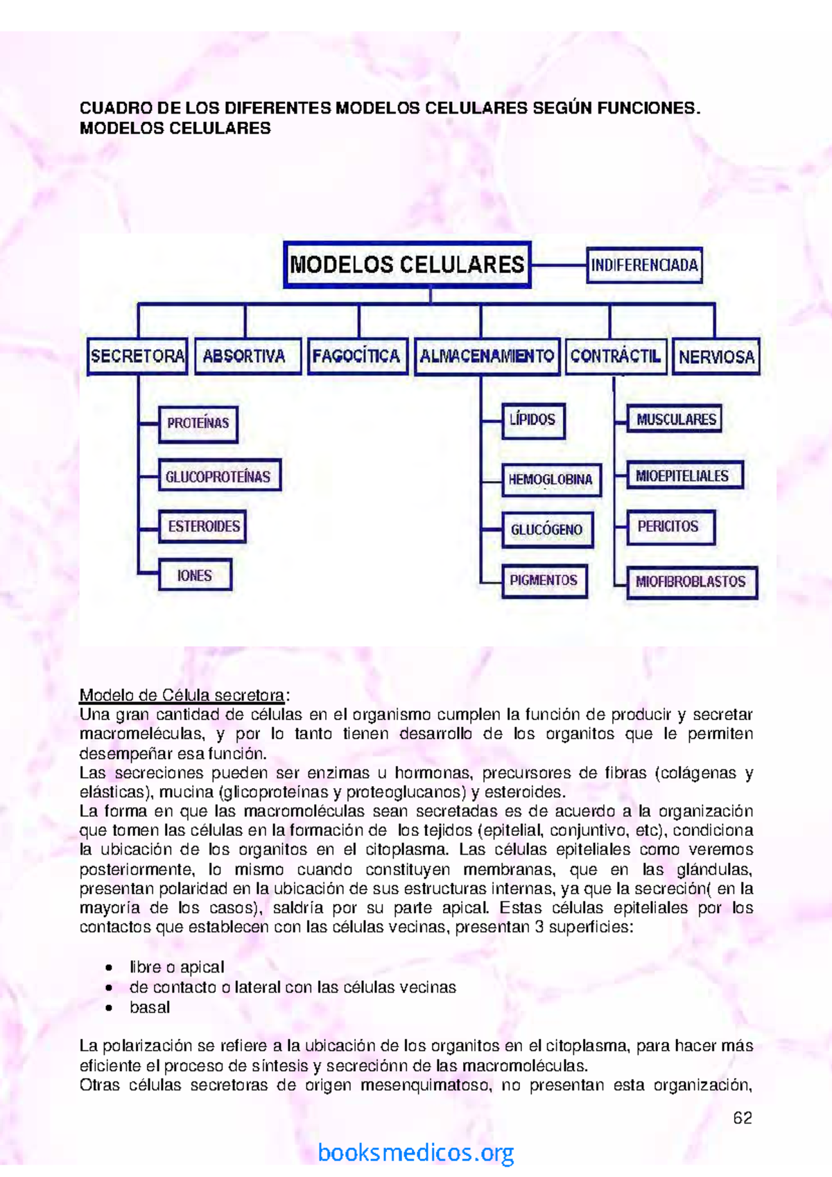 Modelos Celulares Histologia Celulas y Tejidos - 62 CUADRO DE LOS ...