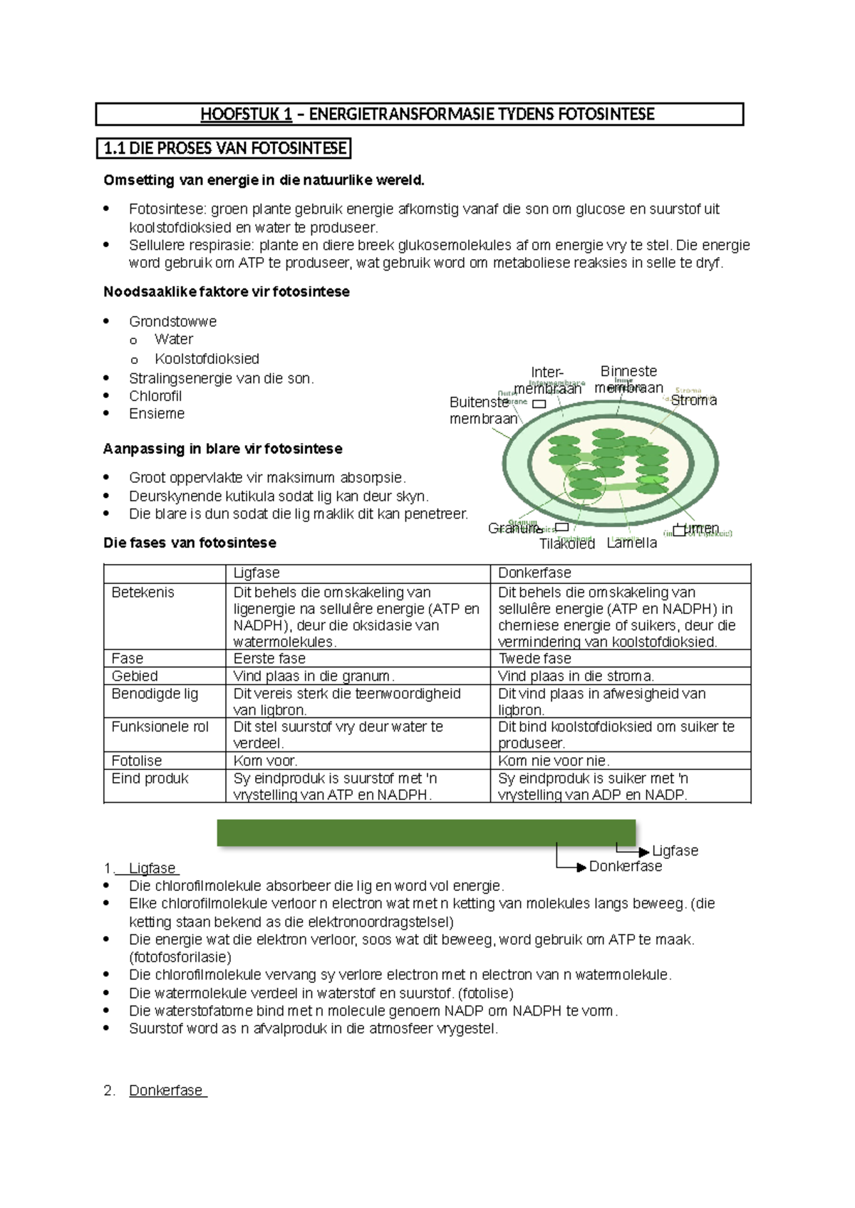 Fotosintese - HOOFSTUK 1 – ENERGIETRANSFORMASIE TYDENS FOTOSINTESE 1 ...