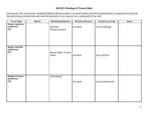 Histology of Tissues Chart-2 - Instructions: This chart is to be ...