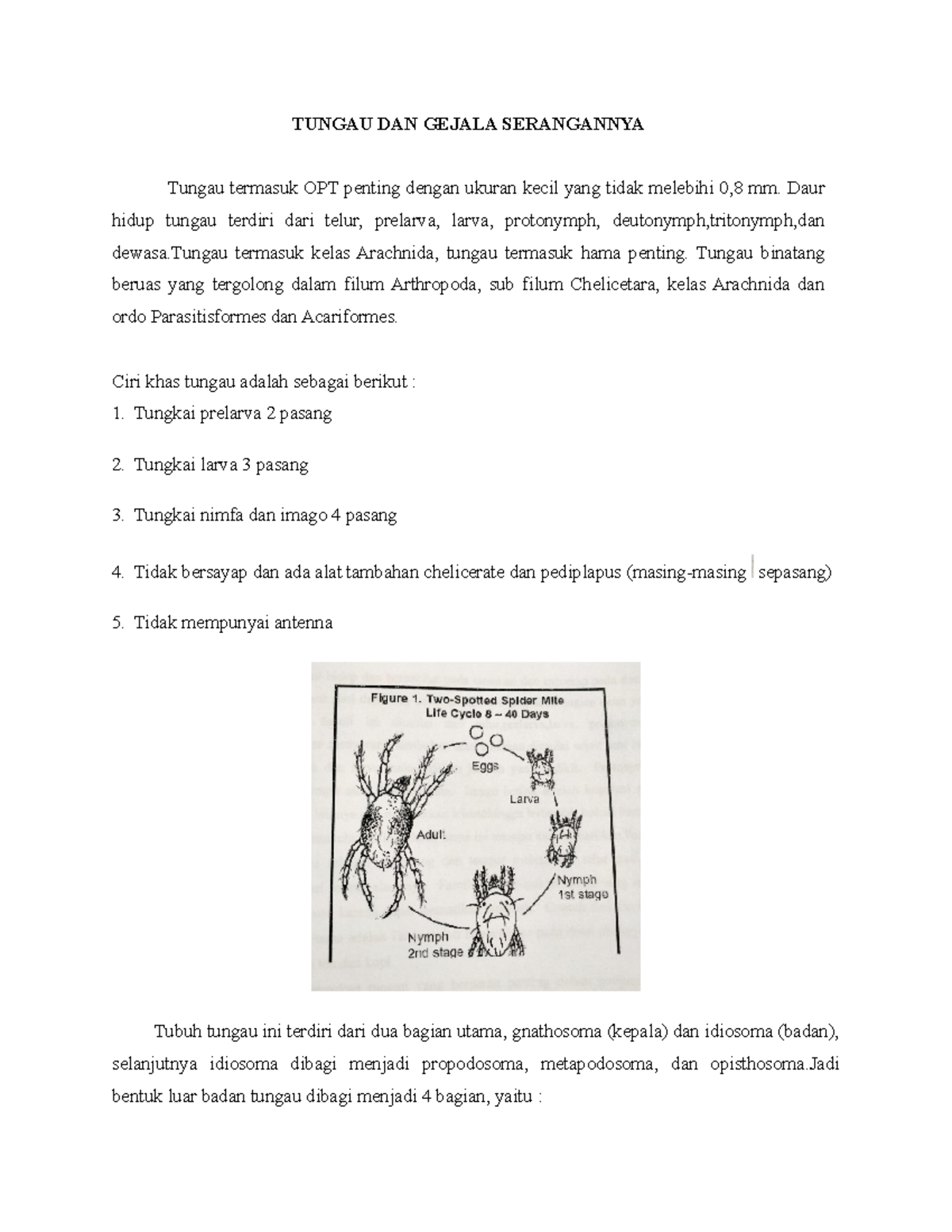 Tungau dan Gejala Serangannya - TUNGAU DAN GEJALA SERANGANNYA Tungau ...