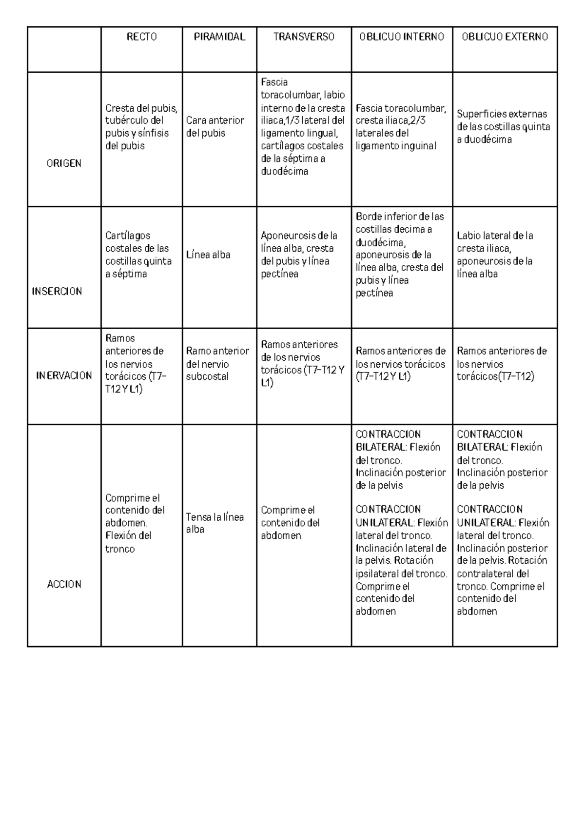 Recto - Músculos de la parte anterolateral del abdomen - RECTO ...