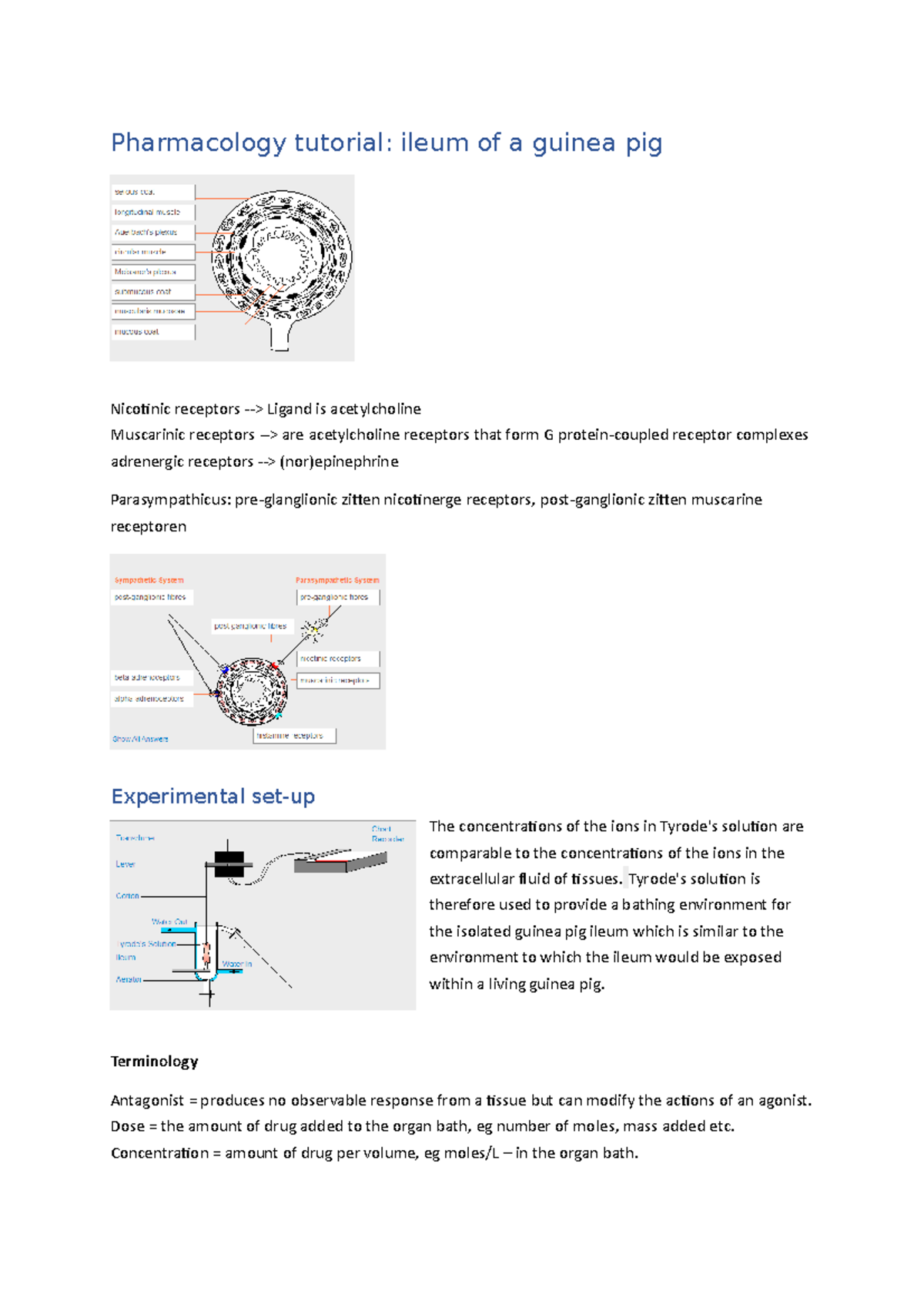 Tutorial Guinea pig ileum - Pharmacology tutorial: ileum of a guinea ...