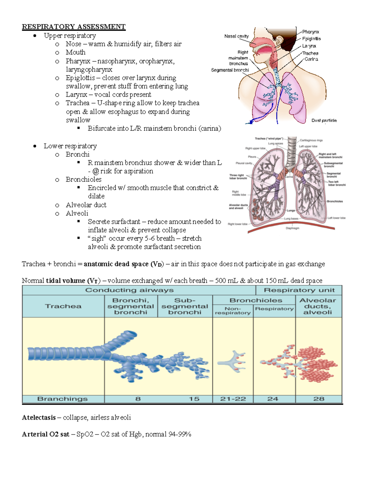 Respiratory - class room note - RESPIRATORY ASSESSMENT Upper ...