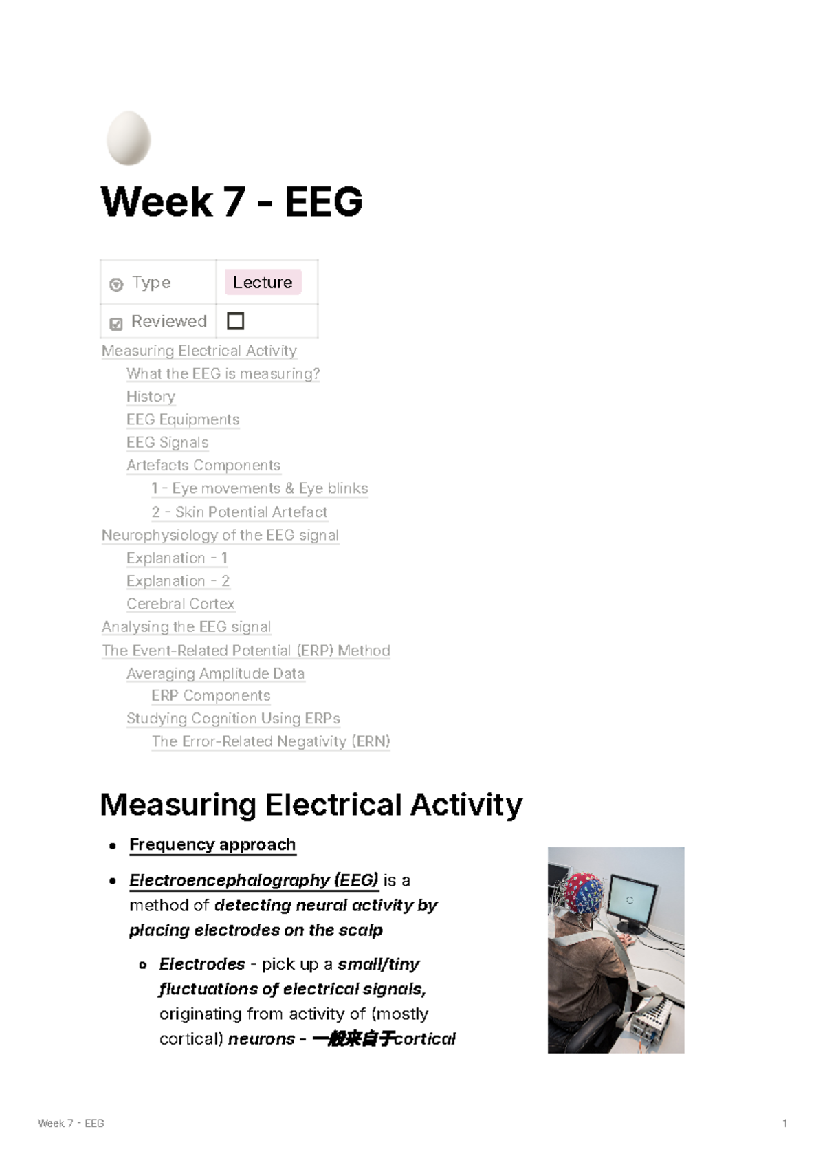 EEG Lecture Comprehension Notes - 🥚 Week 7 - EEG Type Lecture Reviewed ...