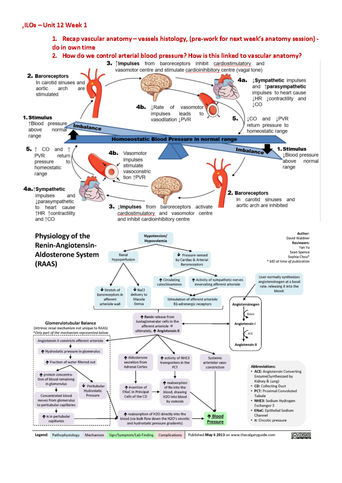 Unit 12 Week 1 ILOs - bio - ,ILOs – Unit 12 Week 1 1. Recap vascular ...