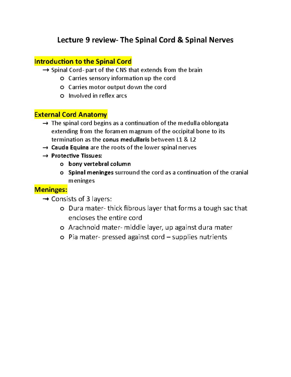 Lecture 9 Notes - Lecture 9 review- The Spinal Cord & Spinal Nerves ...