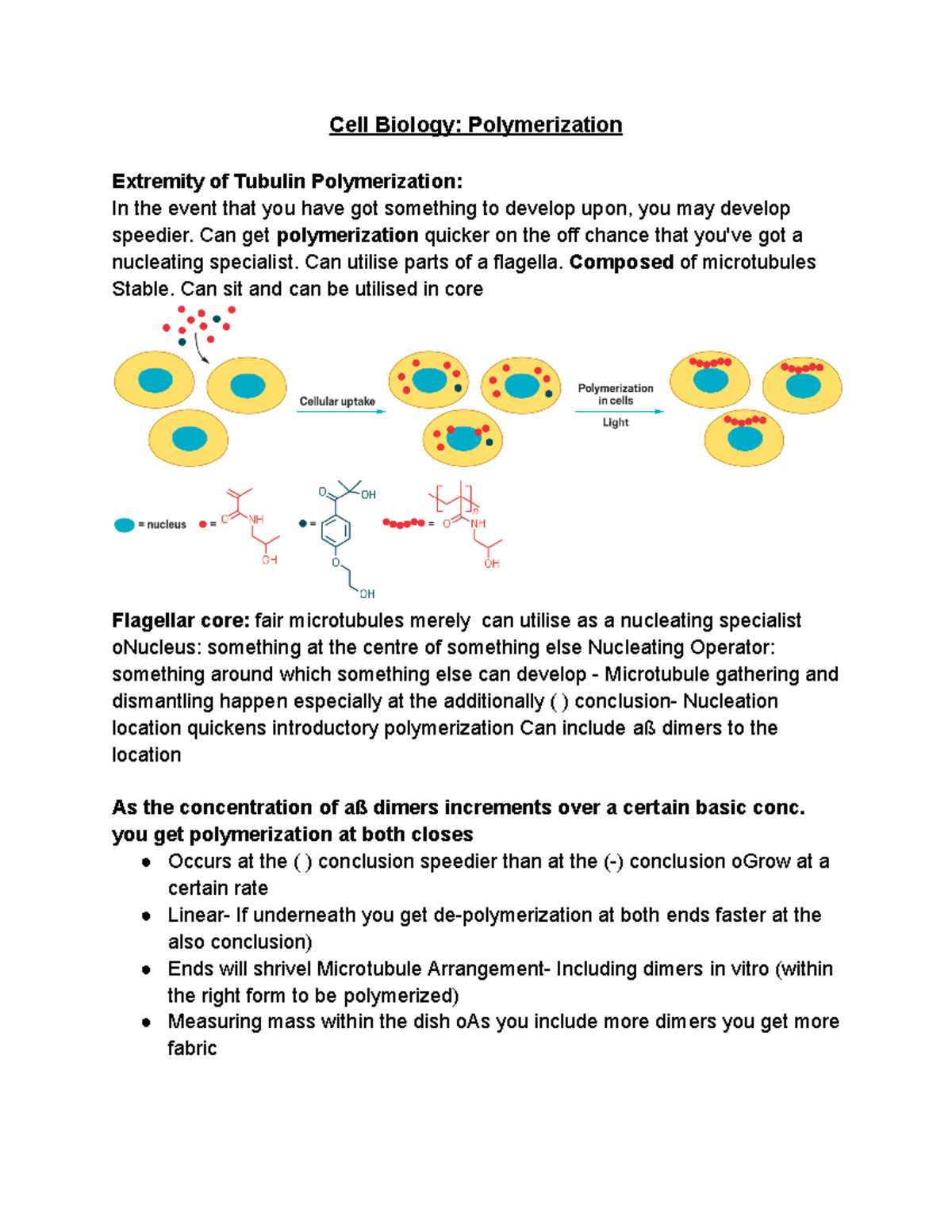 Cell Biology Polymerization - Cell Biology: Polymerization Extremity of ...