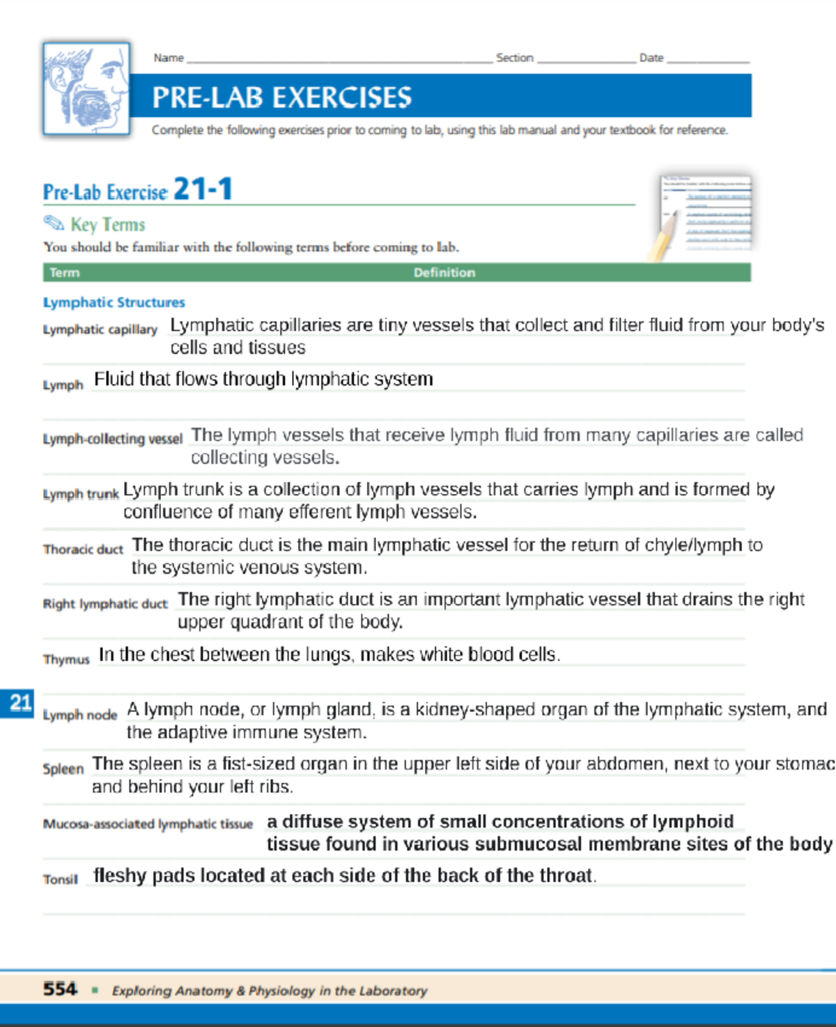 Lab Cardiovascular System - Name Section Date EXERCISES Complete the ...