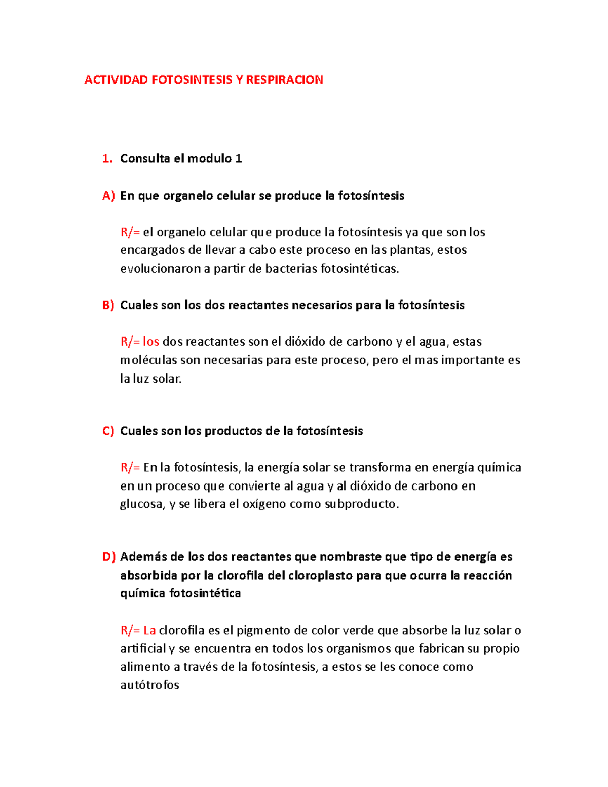 Actividad Fotosintesis Y Respiracion - ACTIVIDAD FOTOSINTESIS Y ...