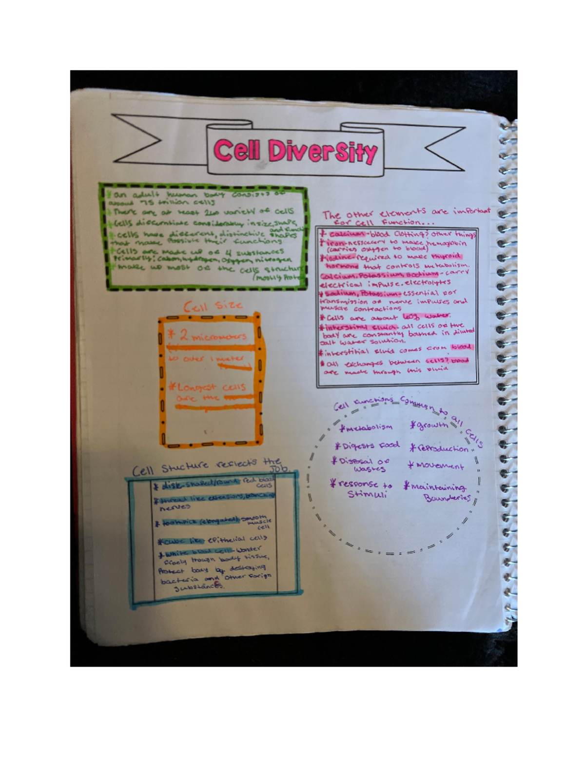 3 - Awesome notes learning about the body with helpful notes - BIOL ...
