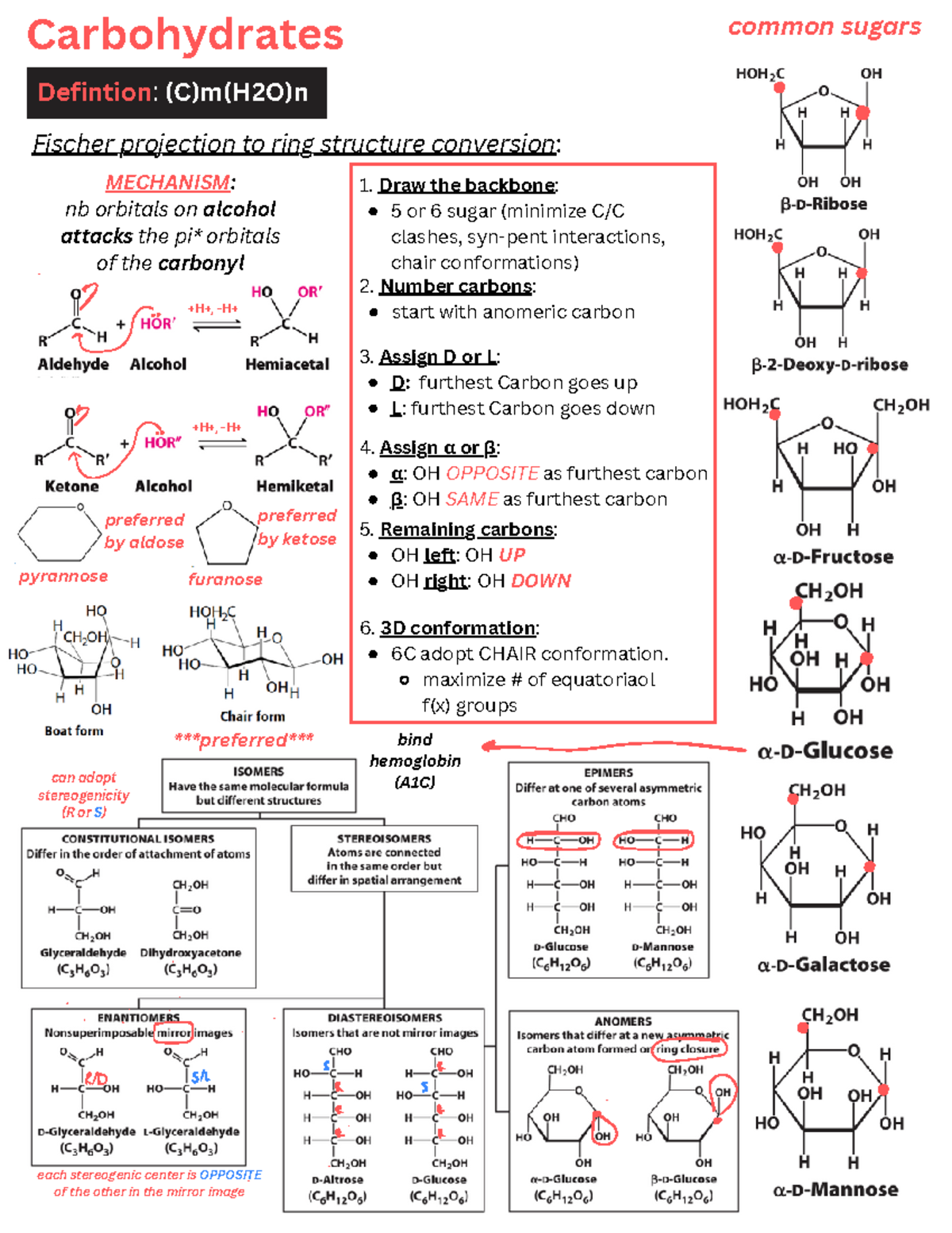 Biochem#2 Cheat Sheet - Summary Biochemistry - 5. Remaining carbons: OH ...