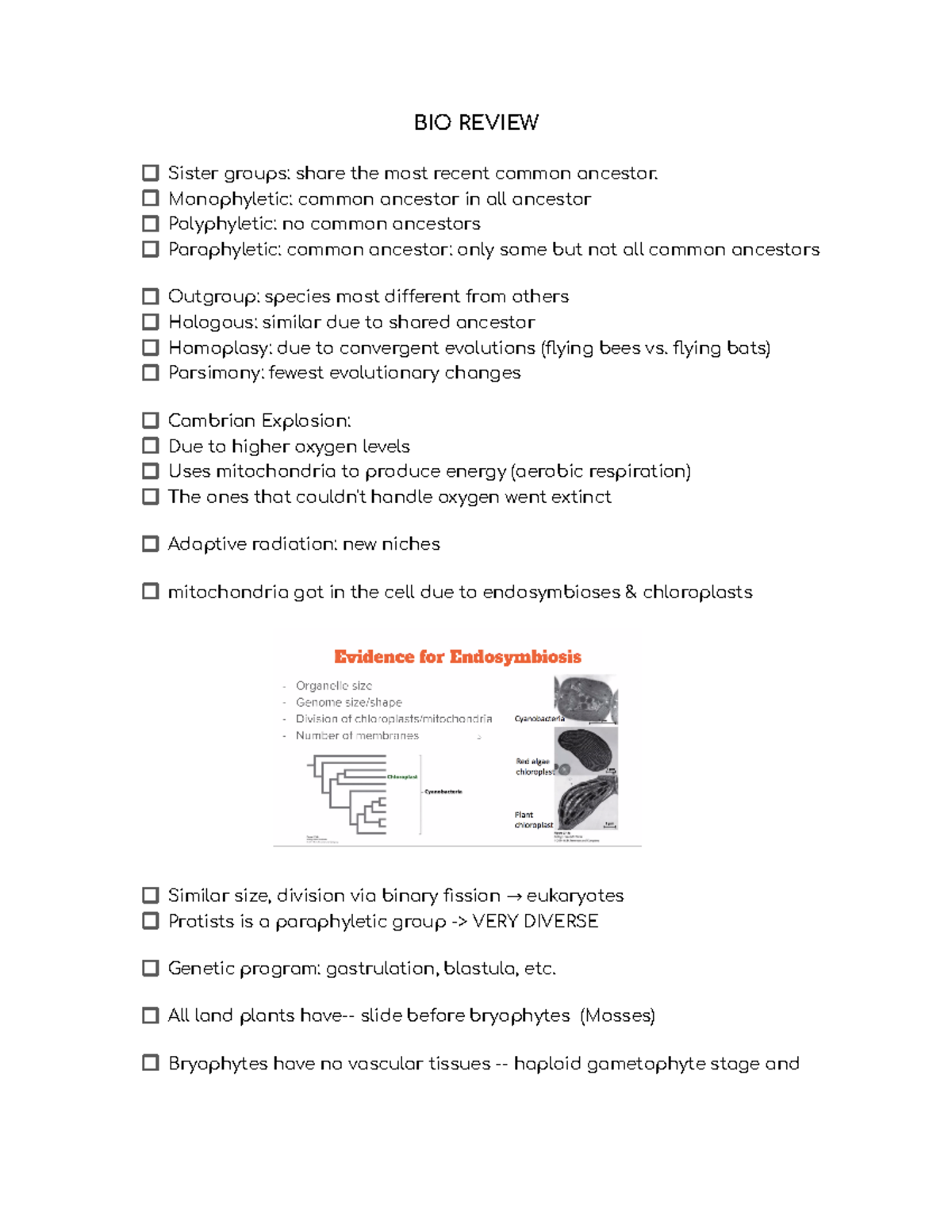 Biology Review - Endosymbiosis Notes - BIO REVIEW Sister groups: share ...