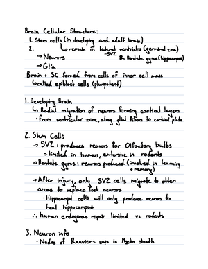 10 - Muscle tissue research assignment - 10. Muscle Tissue research ...