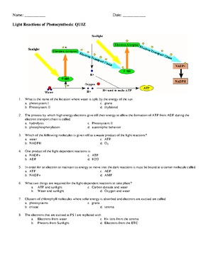 Social Study Grade 8 Model 2015 - ADDIS ABABA CITY ADMINISTRATION EDUCATION BUREAU ADDIS ABEBA ...