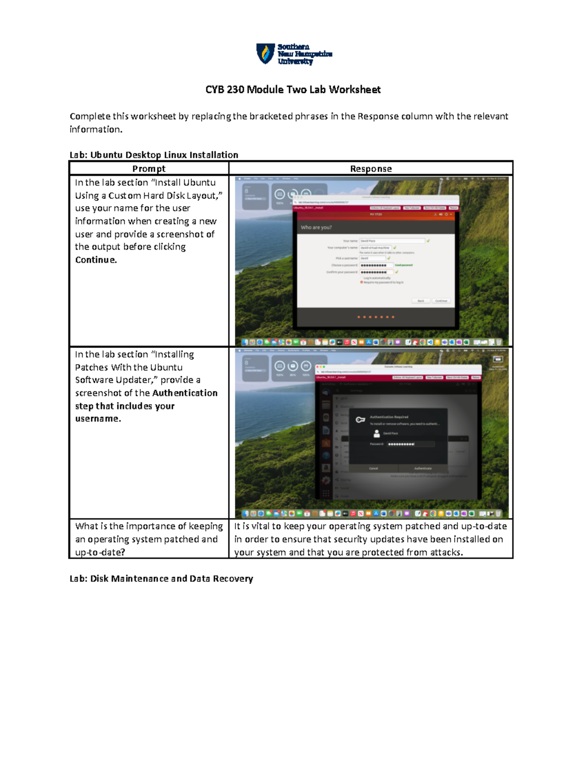 CYB 230 Module Two Lab Worksheet Pace - CYB 230 Module Two Lab ...