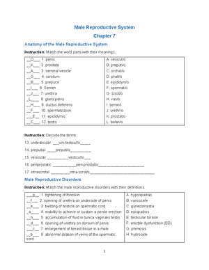 Pediatric Worksheet - MAS110 Clinical Procedures and Techniques ...