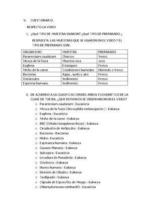 Plantilla DE Letras (1) (1) - Biologia - ABCDEF CH IIKL M N OPQ RSTUV ...