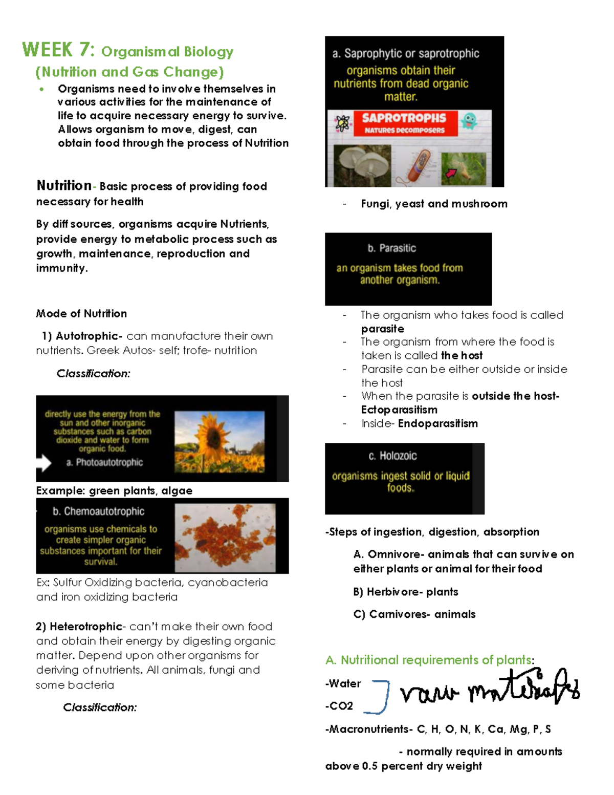 Gen Bio Organismal Change - WEEK 7: Organismal Biology (Nutrition and ...