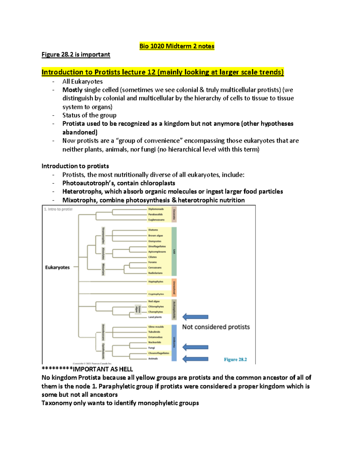 Bio 1020 Midterm 2 notes - Bio 1020 Midterm 2 notes Figure 28 is ...