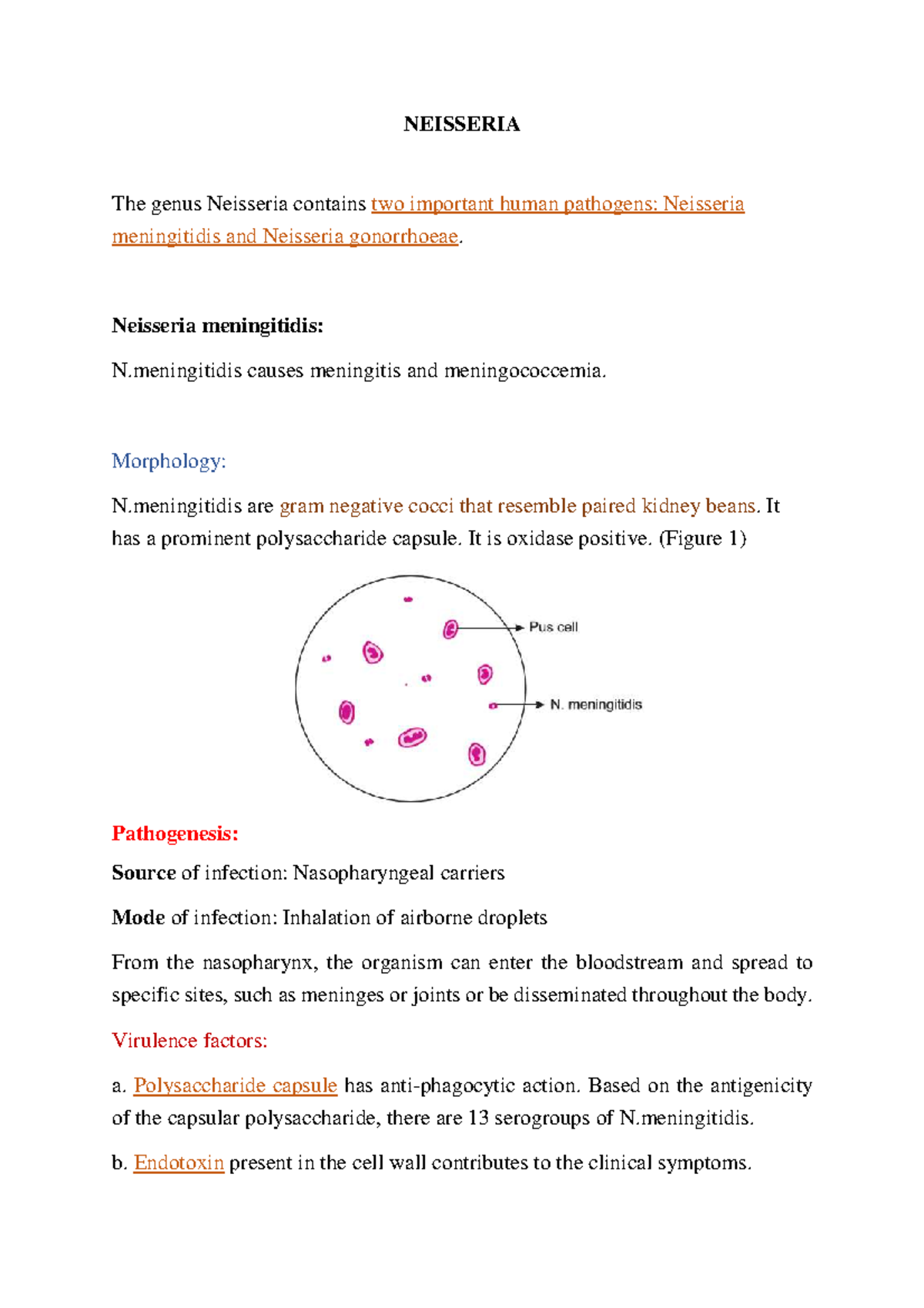 Neisseria - Notes - NEISSERIA The genus Neisseria contains two ...
