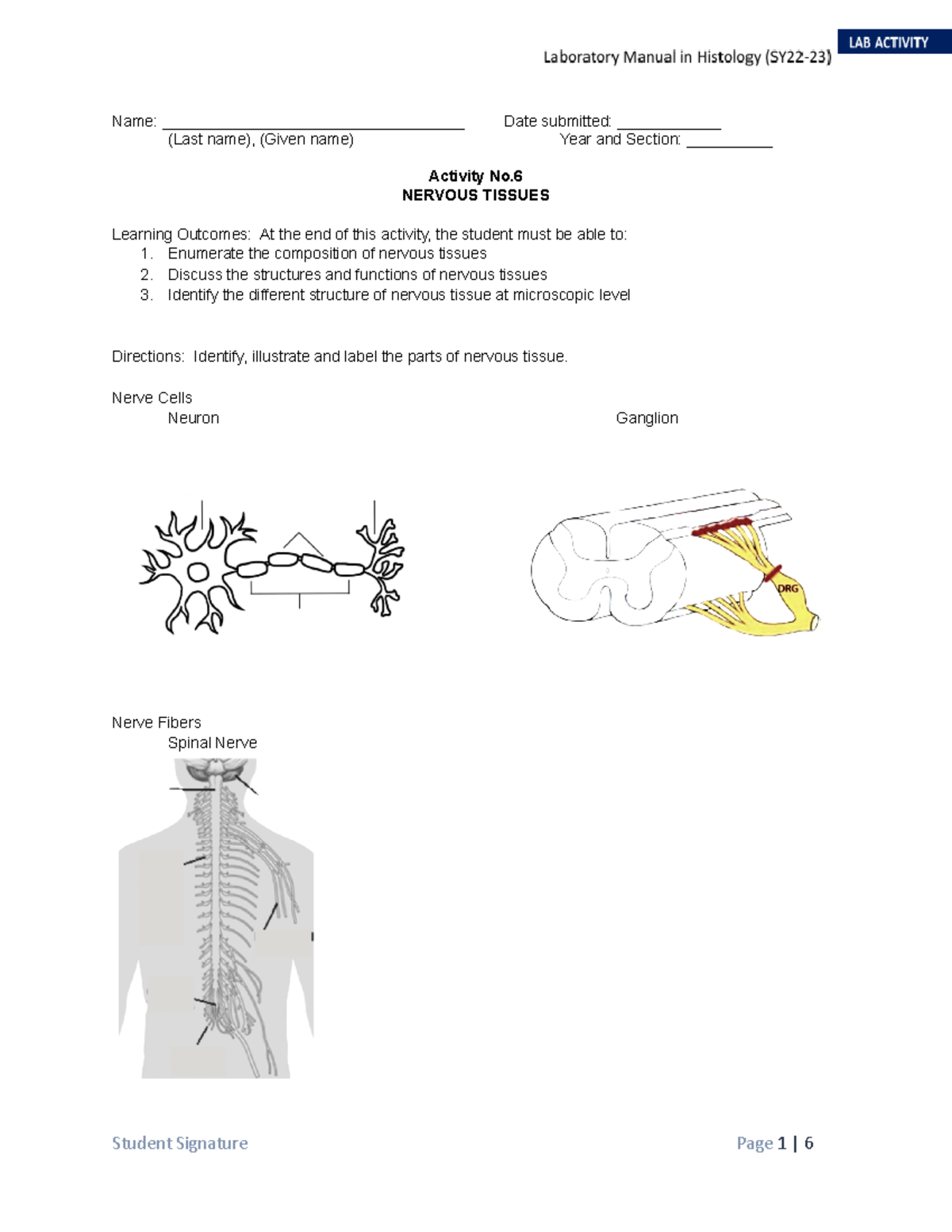 LAB Activity 6 to 7 - Histo Lec - Name: ___________________________________ Date submitted ...