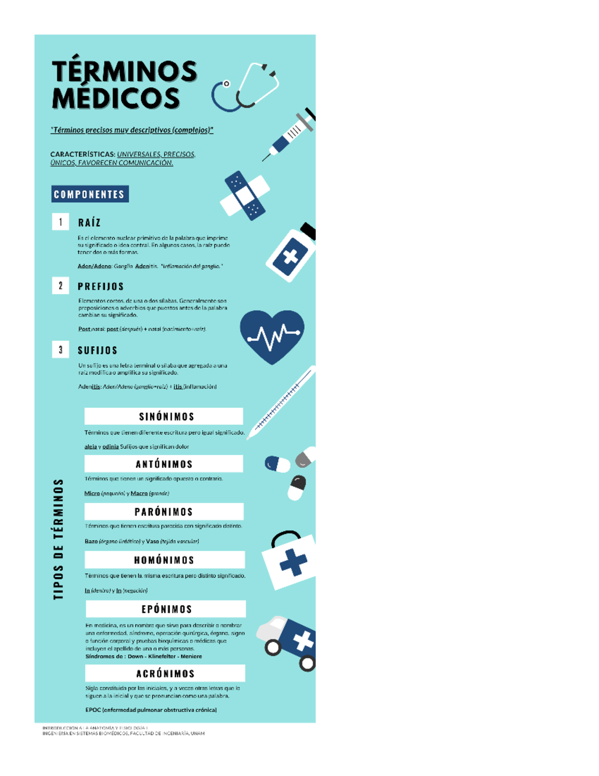 Términos Médicos - Terminos medicos - Anatomía y Fisiología - Studocu