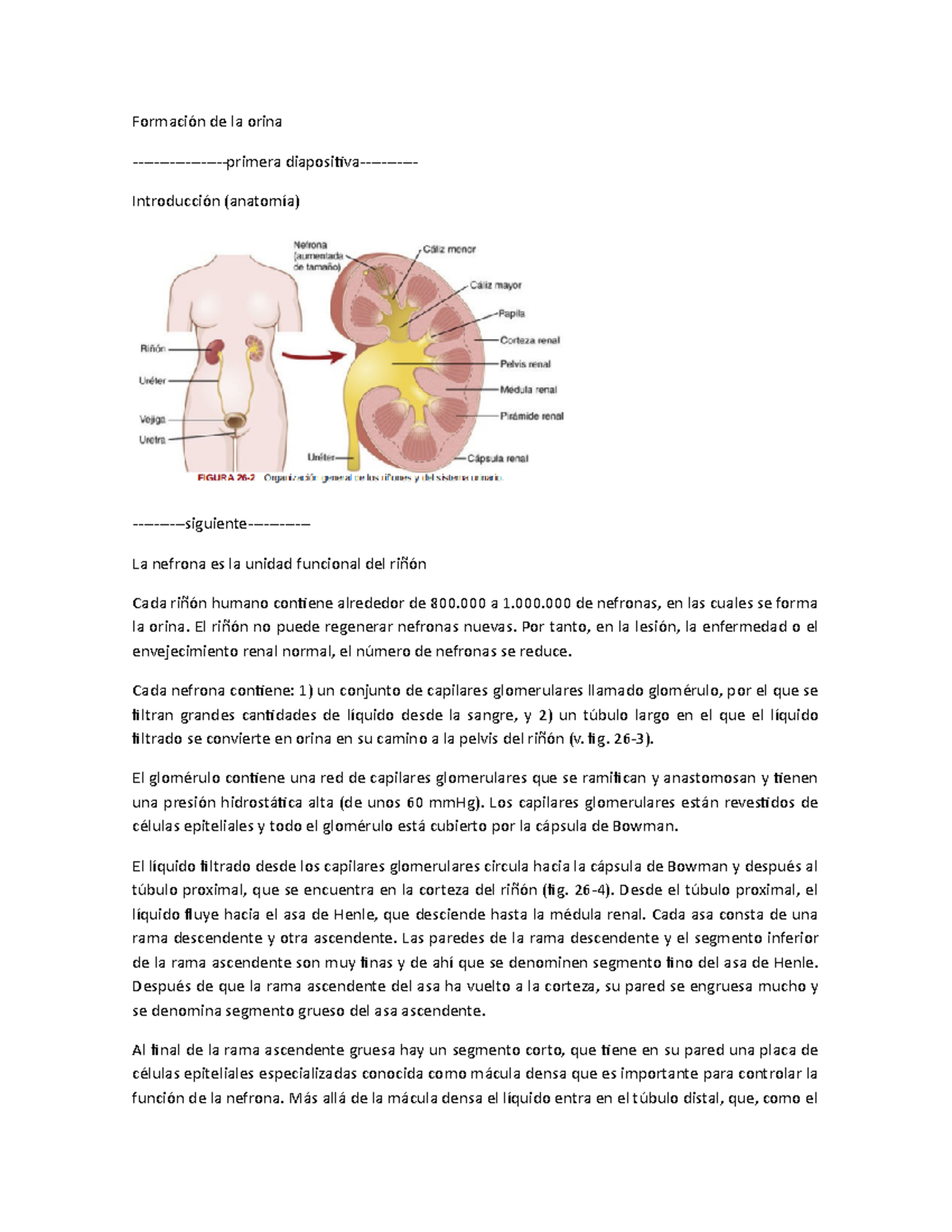 Formación de la orina - Formación de la orina -primera diapositiva ...