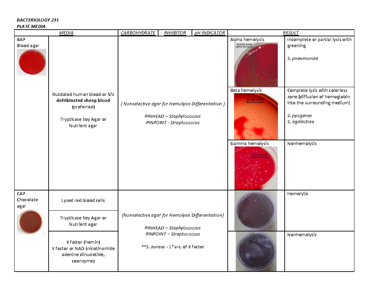 Bacteriology Plate Media Summary - BACTERIOLOGY 231 PLATE MEDIA MEDIA ...