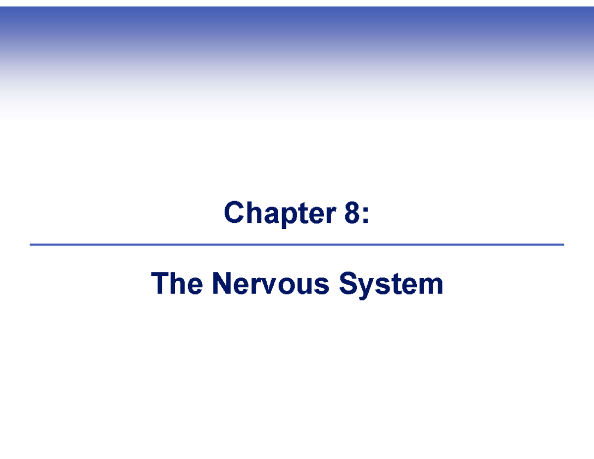 Chapter 8 Nervous System Powerpoint - Chapter 8: The Nervous System ...