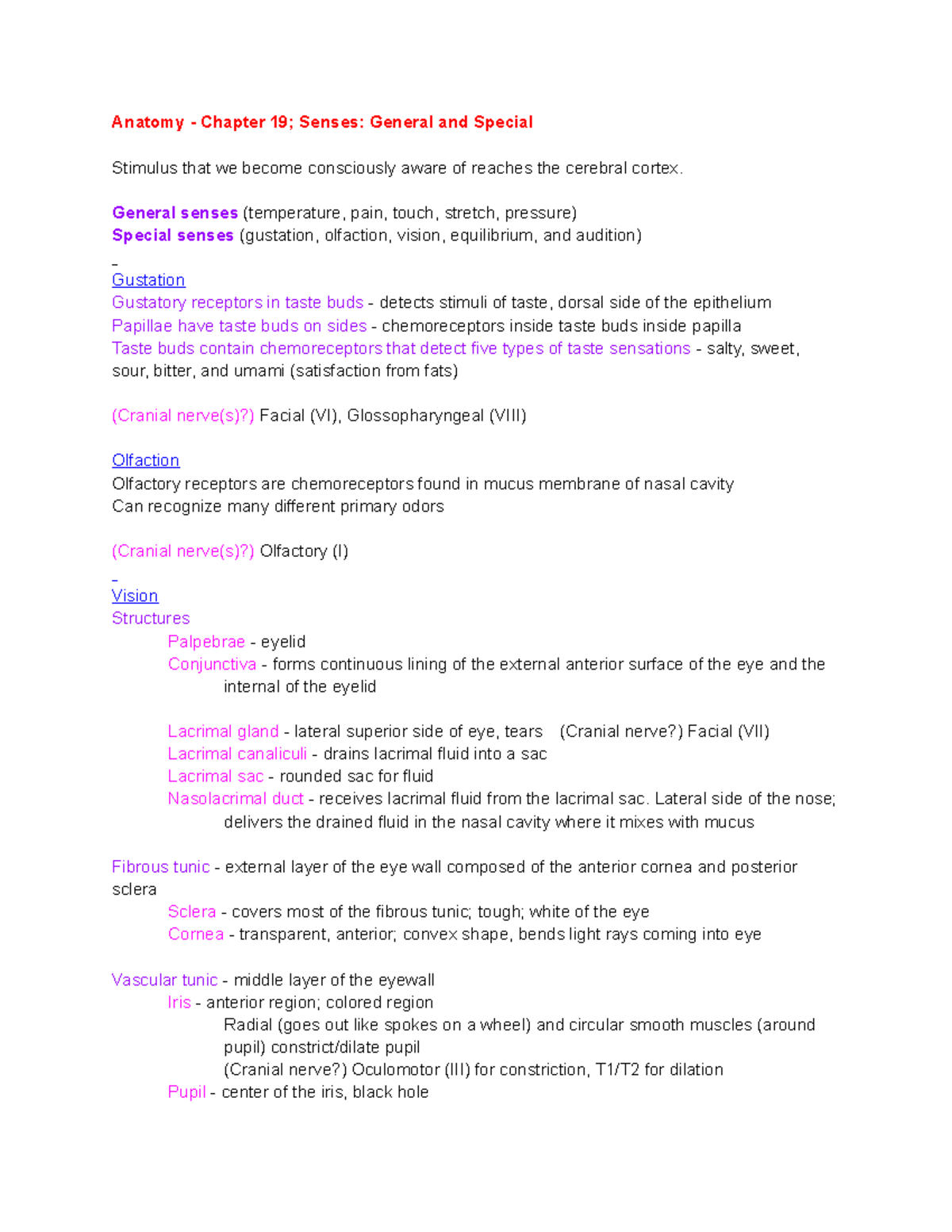 Chapter 19 - Senses: General and Special - Anatomy Chapter Senses ...