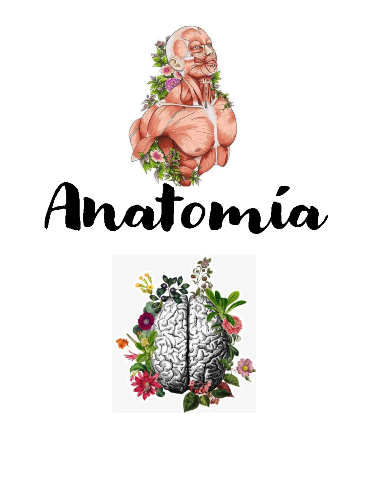 Anatomia - Clase 1 (generalidades osteología) - Anatomía Anatomía de ...