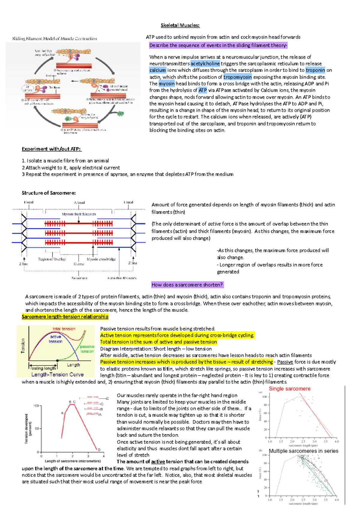 Week 9 - Lecture notes in Skeletal Muscles from physiology lecture ...