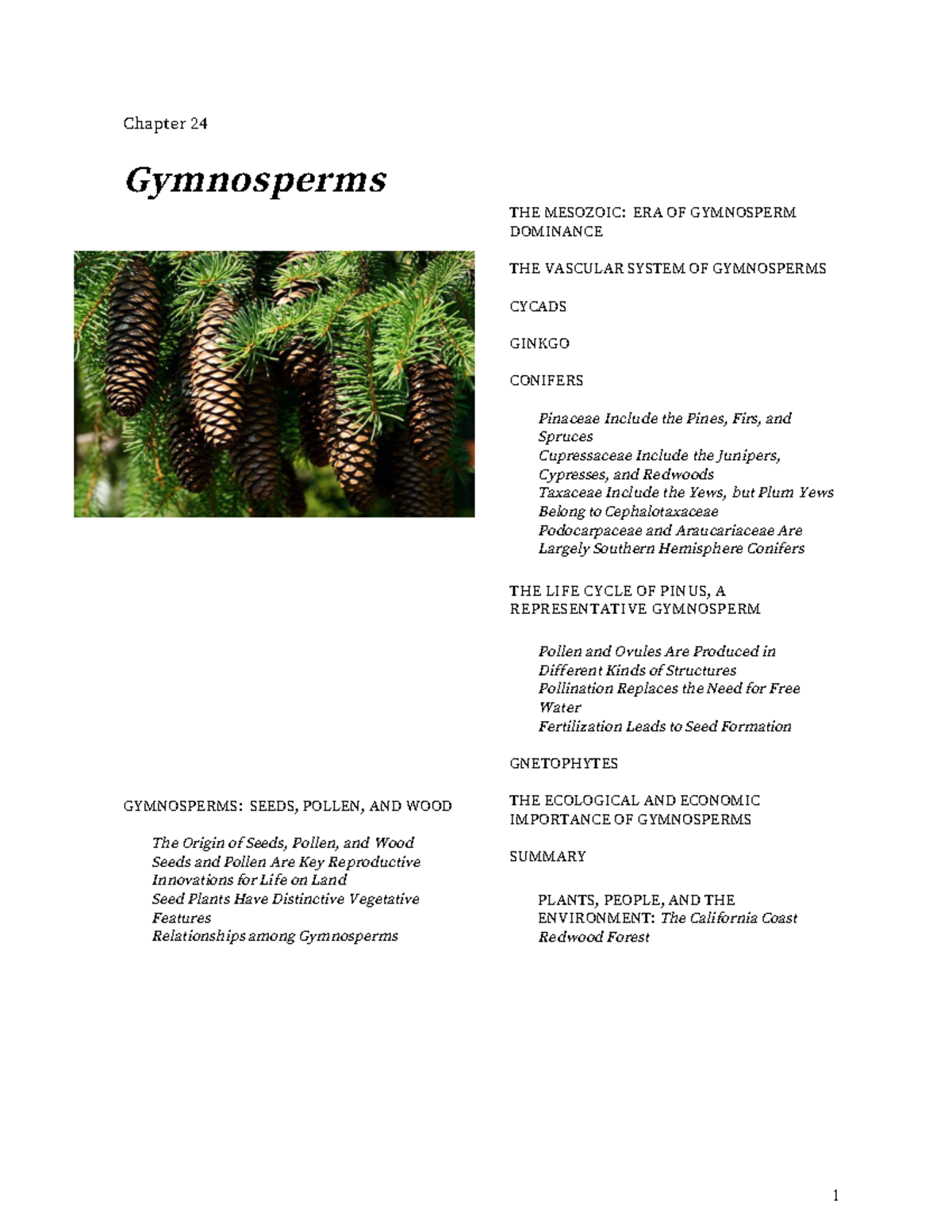 Gymnosperms - branches of botany easy notes to study - Chapter 24 ...
