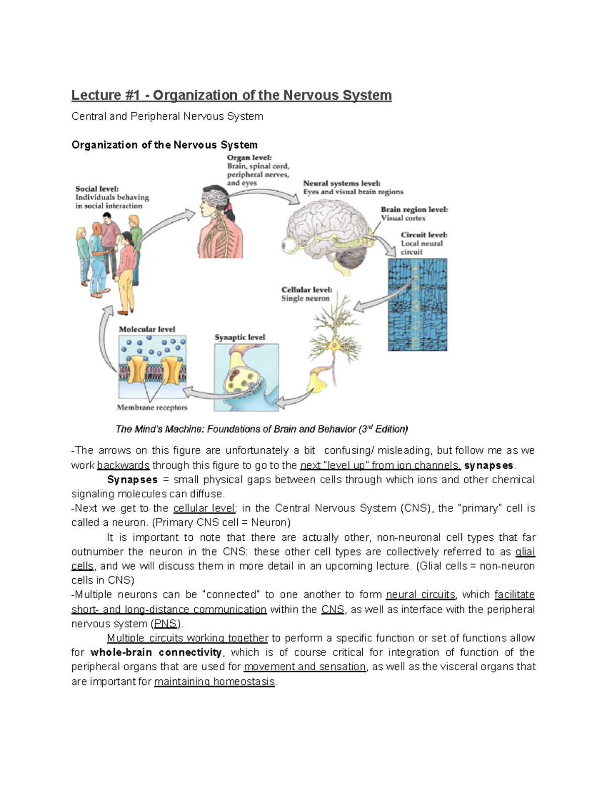 BISC 421 Exam #2 - BISC 421 Exam #2 - Lecture #1 - Organization of the ...
