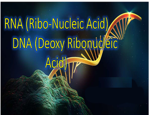 BioChemistryMCC - Biochemistry Instructor: Christopher Jay Robidillo ...
