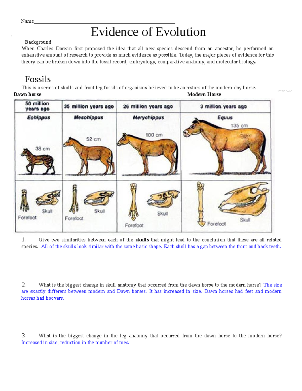 Amberly He - Evidence of Evolution - 3996968 - - Studocu