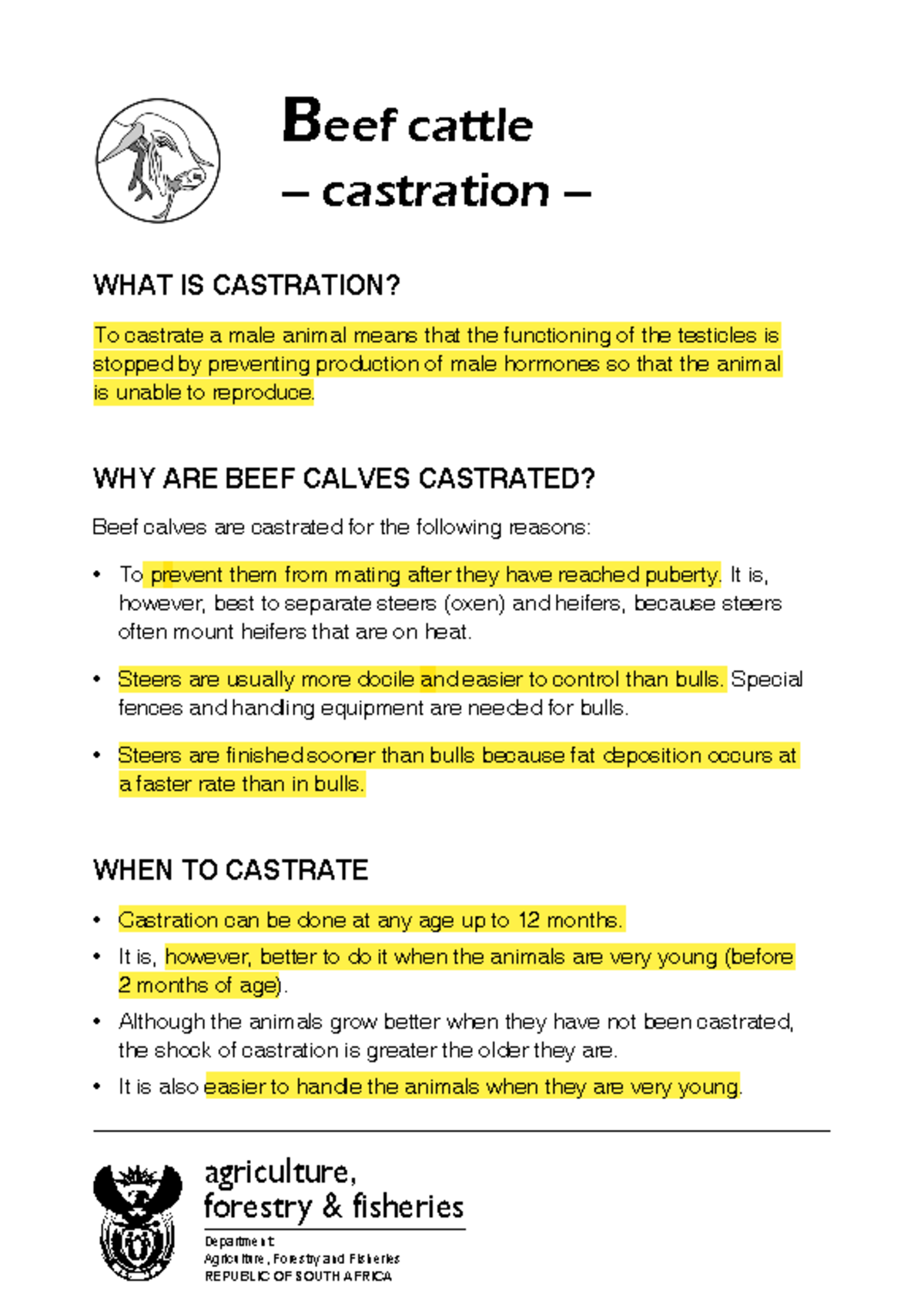 Beef-castrate - CASTRATION OF CATTLE - What is castration? To castrate ...