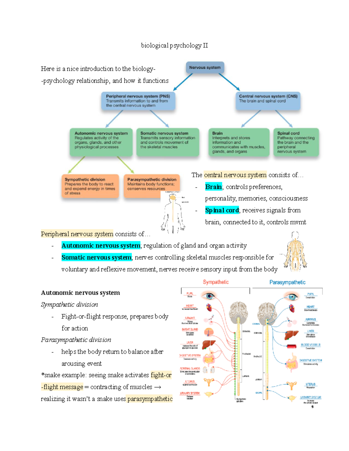 Lecture 5, biopsychology part II - biological psychology II Here is a ...