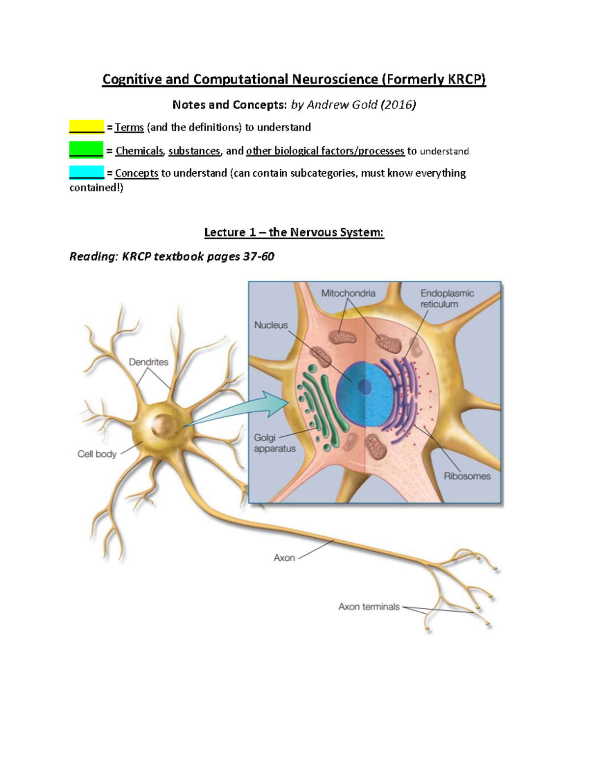 Ccn comprehensive study guide - Warning: TT: undefined function: 32 Cognitive and Computational ...