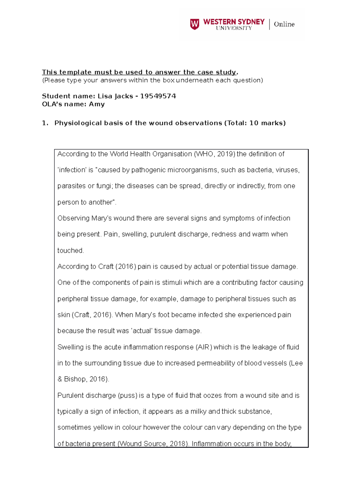 Assignment 2 Case study template 3 - This template must be used to ...