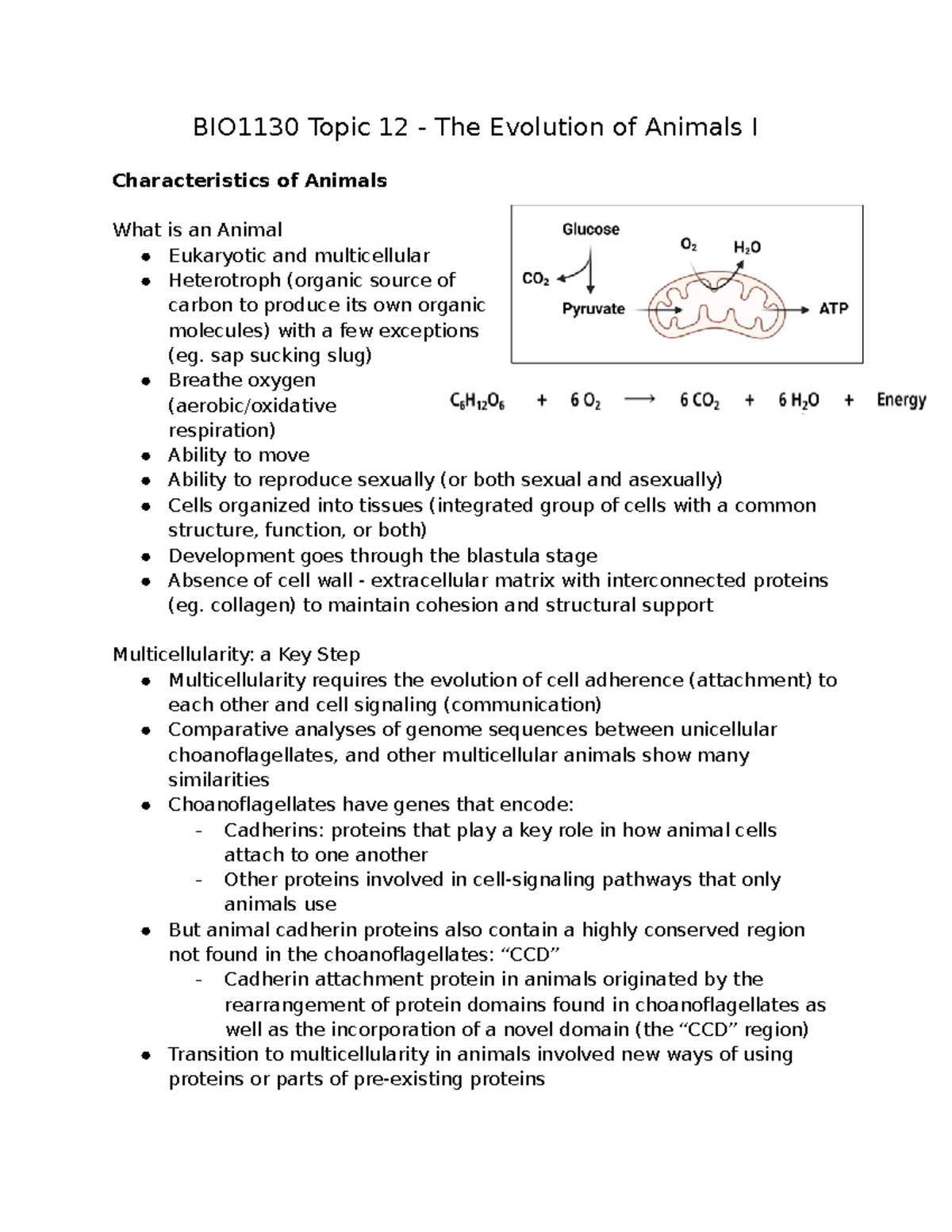BIO1130 Topic 12 - BIO1130 Topic 12 - The Evolution of Animals I ...