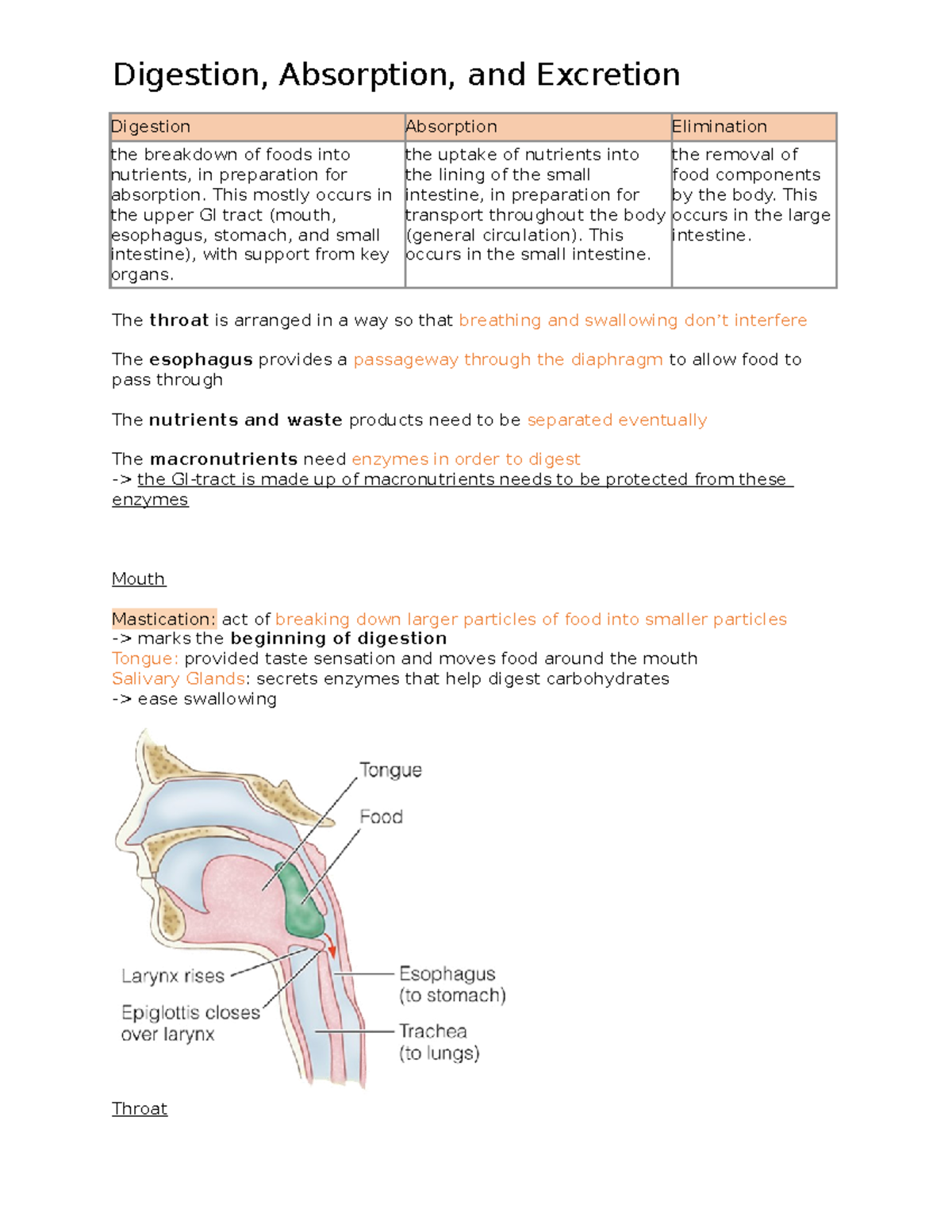 Digestion, Absorption, and Excretion Notes - Digestion Absorption ...