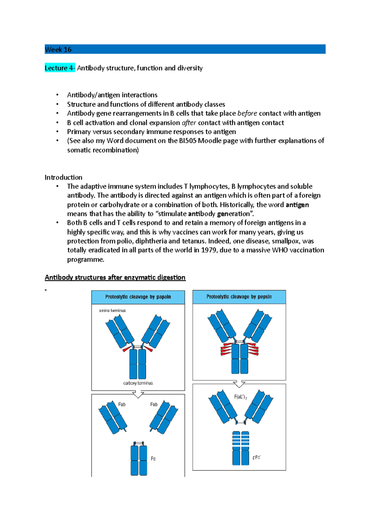 Week 16 part 1 - Lecture notes 4 - Week 16 Lecture 4- Antibody ...