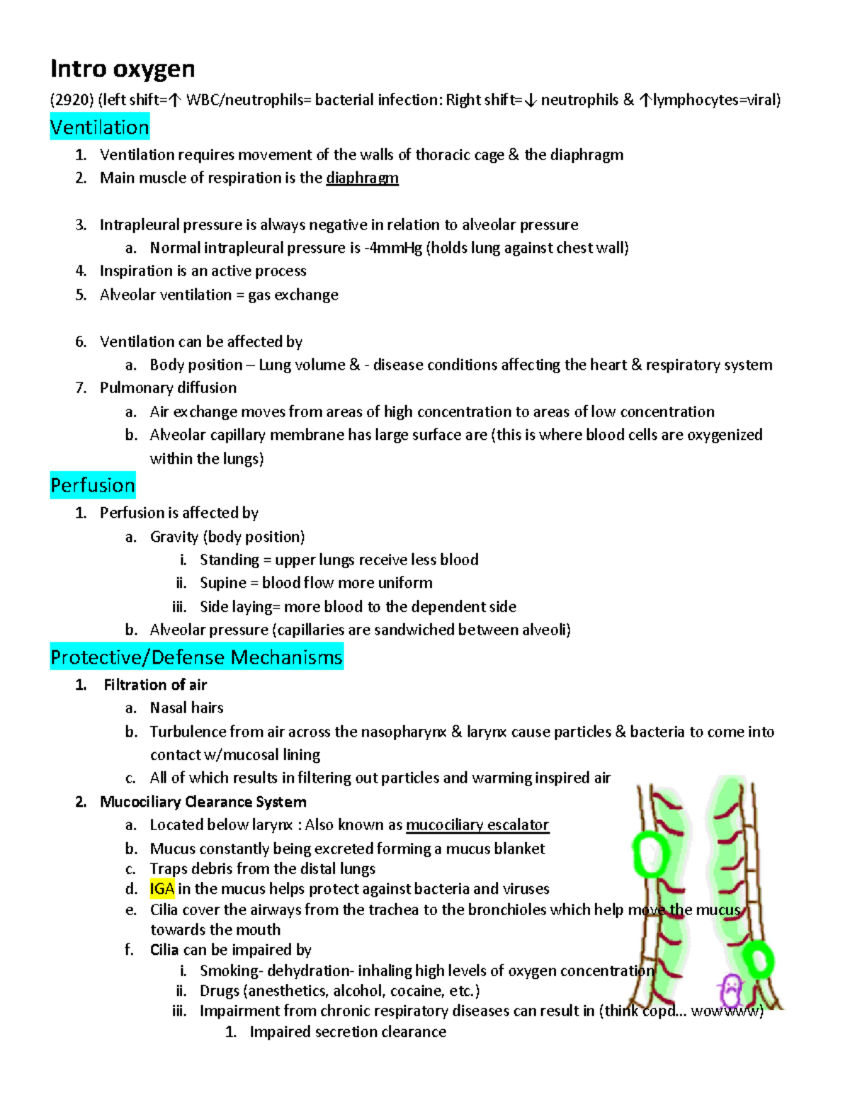 2920.2900 exam 1 updated - Intro oxygen (2920) (left shift=↑ WBC ...