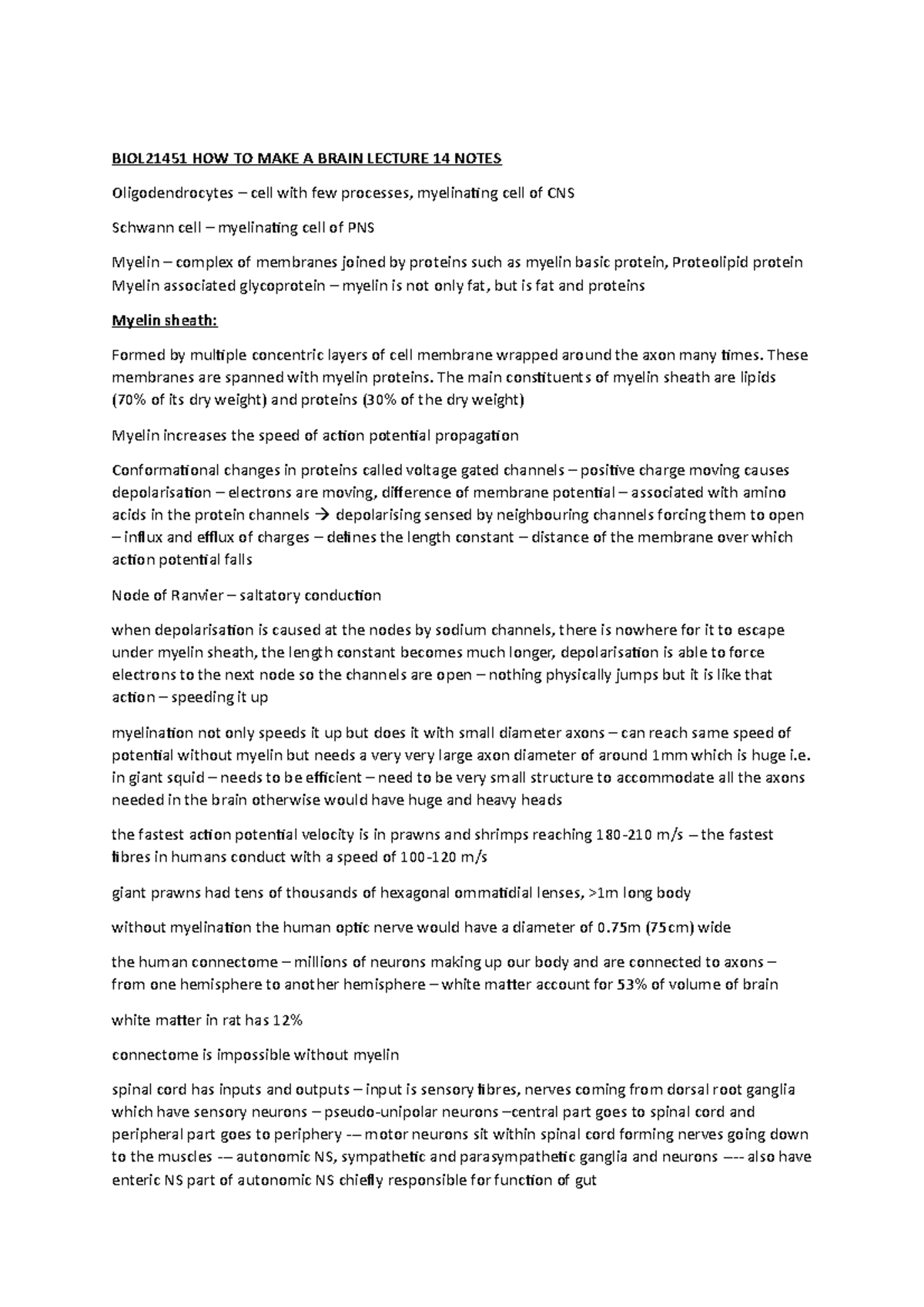 HOW TO MAKE A Brain Lecture 14 Notes - BIOL21451 HOW TO MAKE A BRAIN ...