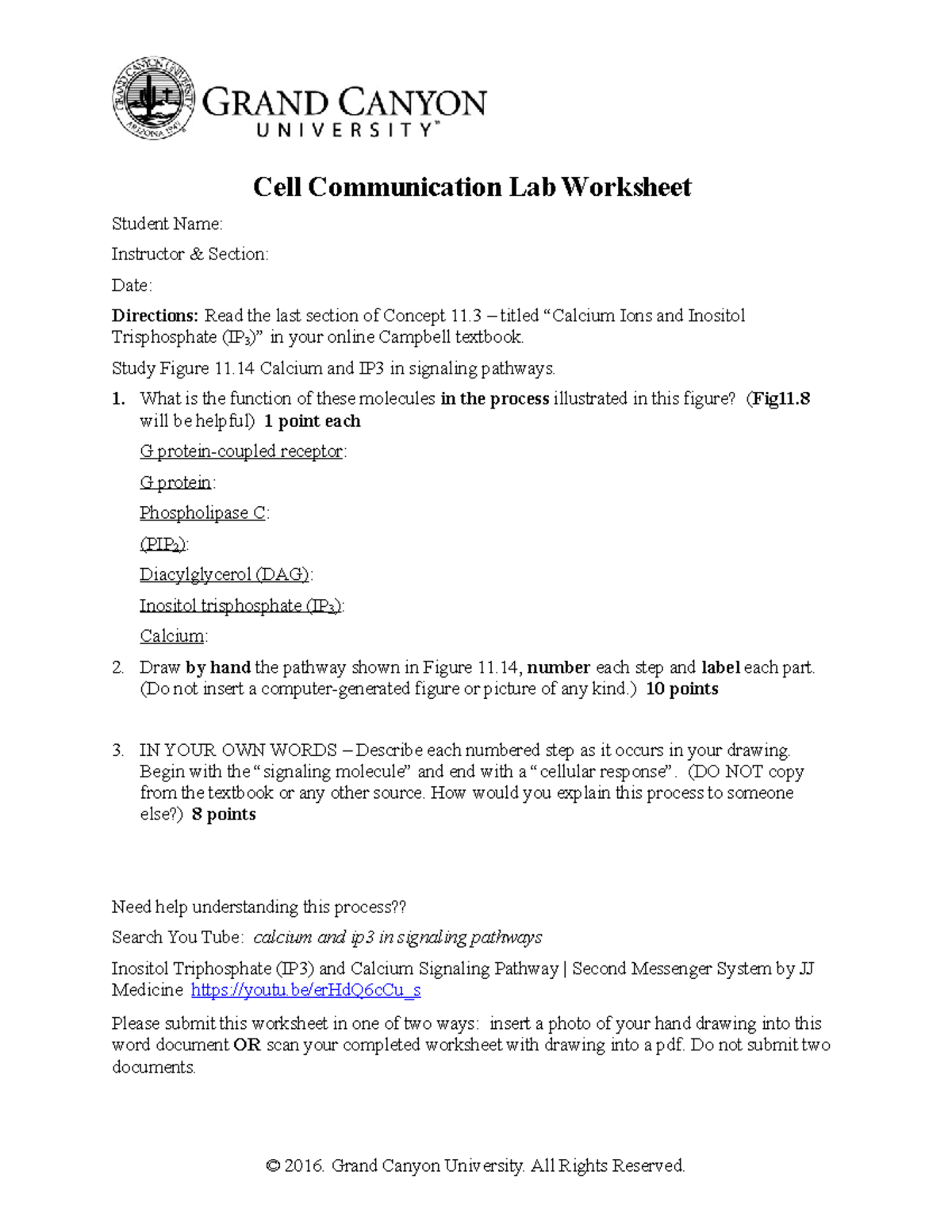 BIO-181L S20 Cell Communication Wksht - Cell Communication Lab ...