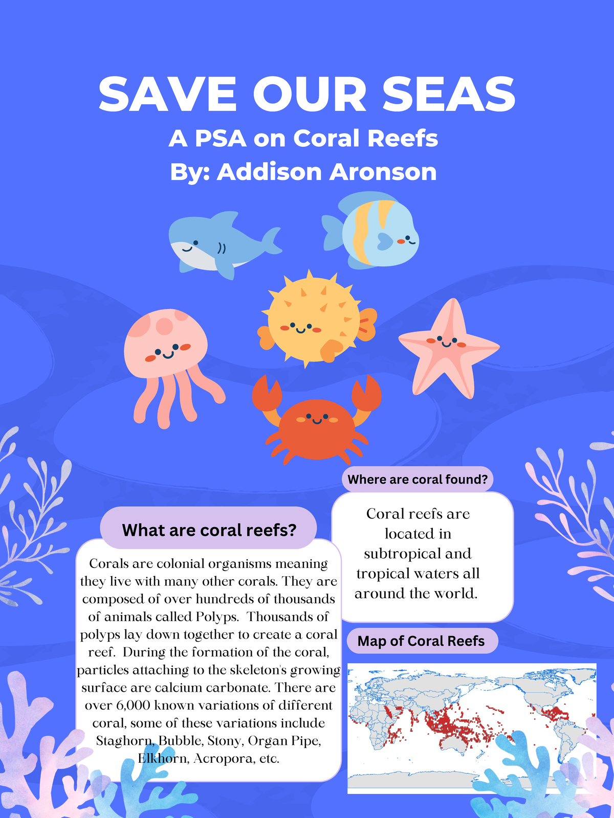Infographic on coral reefs - Coral reefs are located in subtropical and ...