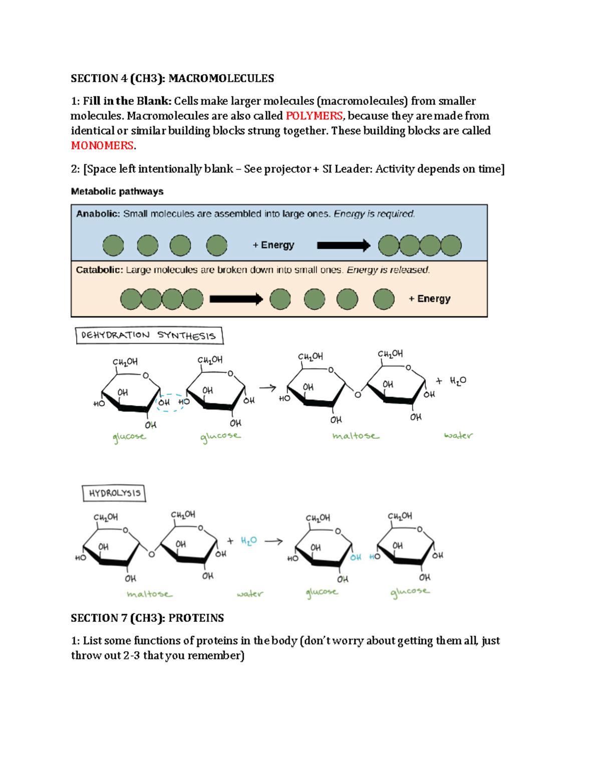 [ BIOL 114 SI] Session 1 Partial Key - SECTION 4 (CH3): MACROMOLECULES ...
